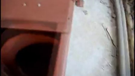 无轴螺旋输送机演示视频