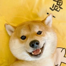 敏哥游戏解说. 