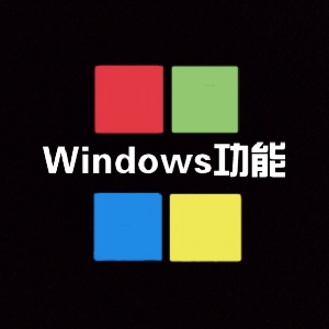 Windows功能 