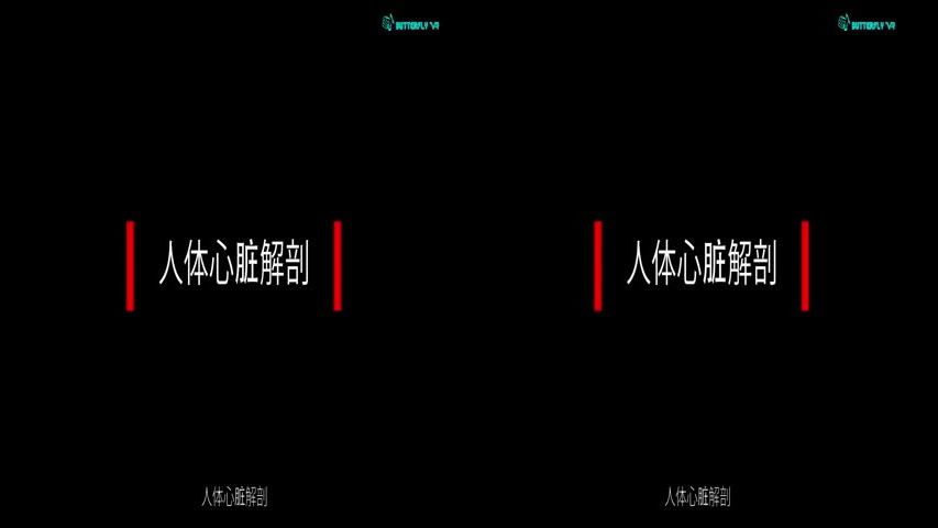 当年上学时如果有这样的可视化教学内容,我的人生可能被重新定义
