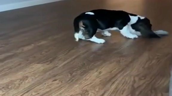 二狗子;让我们荡起双桨!