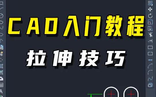CAD拉伸图形技巧小黄花cad