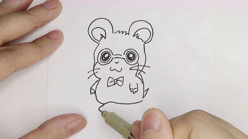 简笔画手绘小仓鼠,几步画完