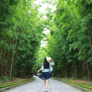 yuan木樨xiang 