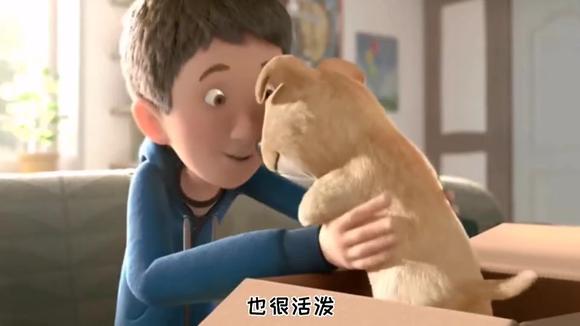 三条腿残疾狗狗拯救自闭症小男孩,必看温暖治愈系动画片
