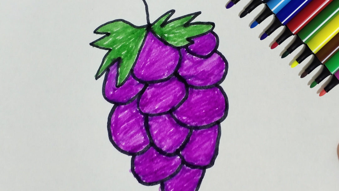 葡萄 儿童水果简笔画大全,零基础学习教程