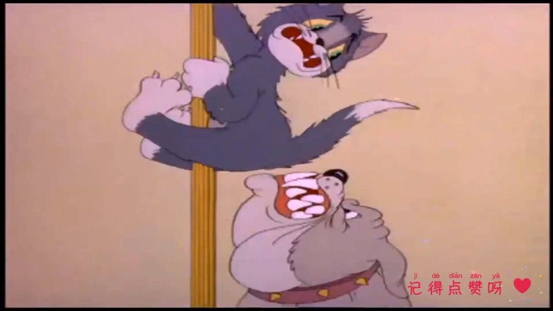 猫和老鼠最新动画:恶狗很生气汤姆吓坏了
