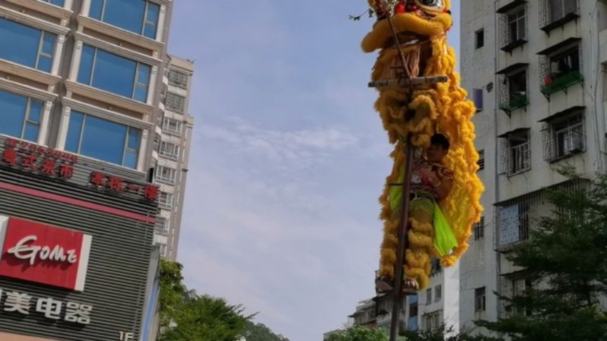 中国传统特色文化:舞狮,水平勉强及格,还是有点那种味道