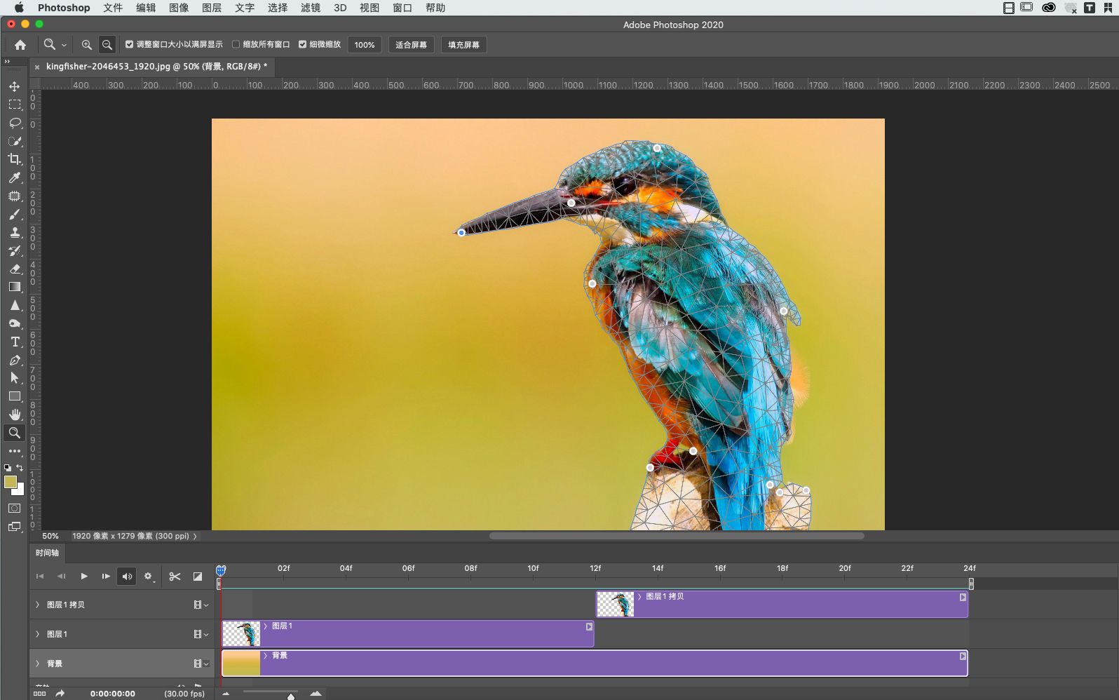 很多人都不知道的PS这个冷门工具,学会它制作GIF动画事半功倍