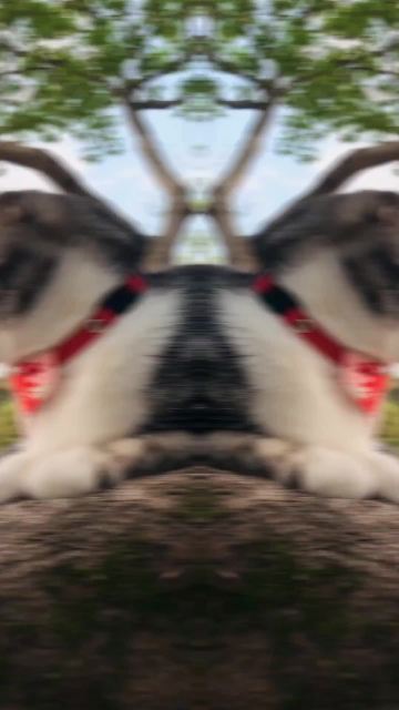 这样的撒撒大家喜欢吗