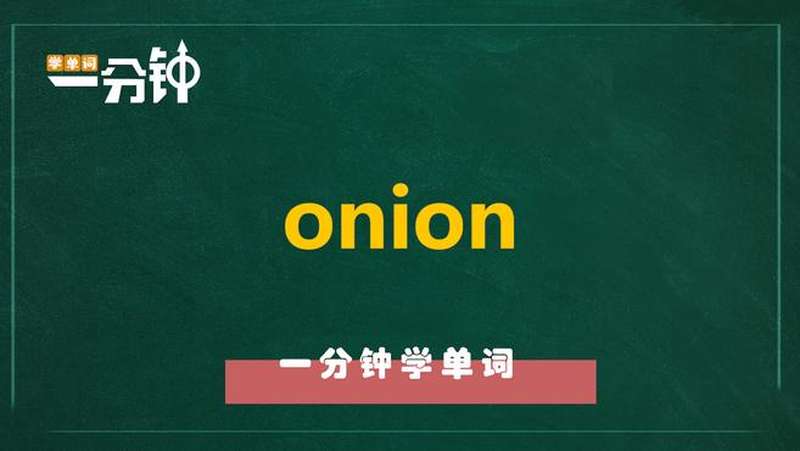 一分钟学英语onion单词详解