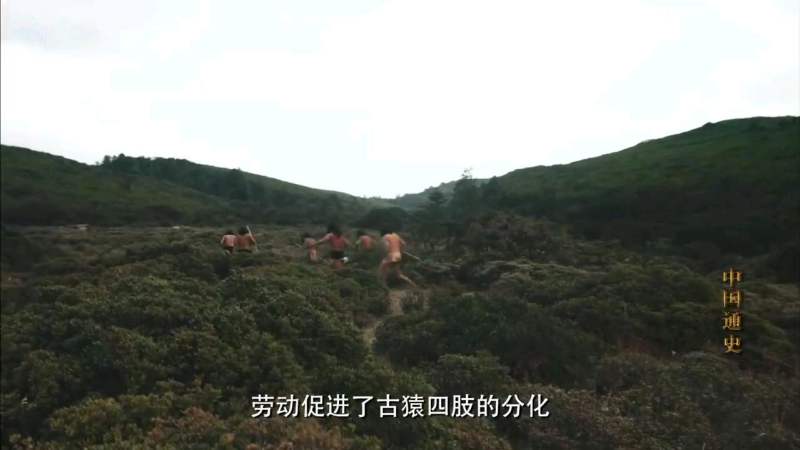 中国通史第三集:农业起源