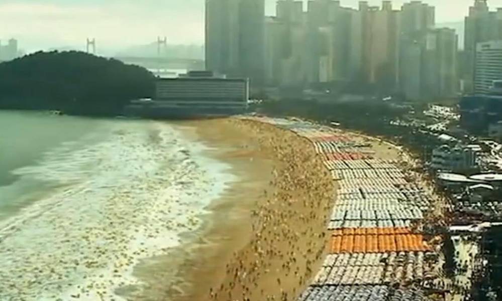 海啸原来是这么形成的,怪不得威力如此之大,今天长见识了!