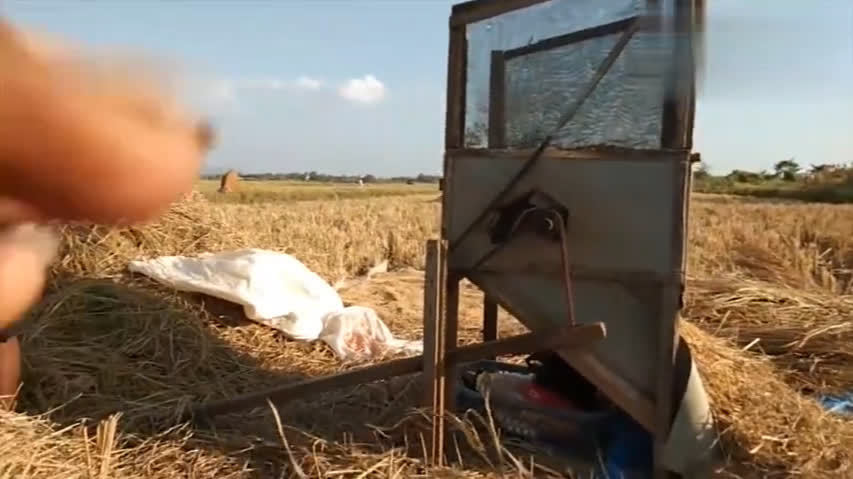 印度不用油不用电的水稻脱粒机,在国内早就淘汰了,送都没人要!
