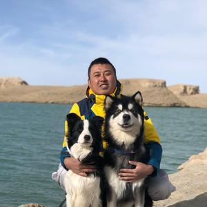 西安霍尔训犬工作室 