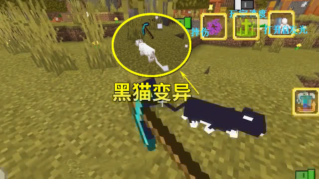 我的世界变形手游15:获黑猫灵魂,变身后成白猫,变异了?