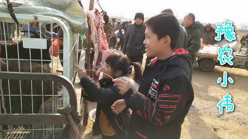 小伟带孩子逛大集,孩子们看到了什么不愿意走开
