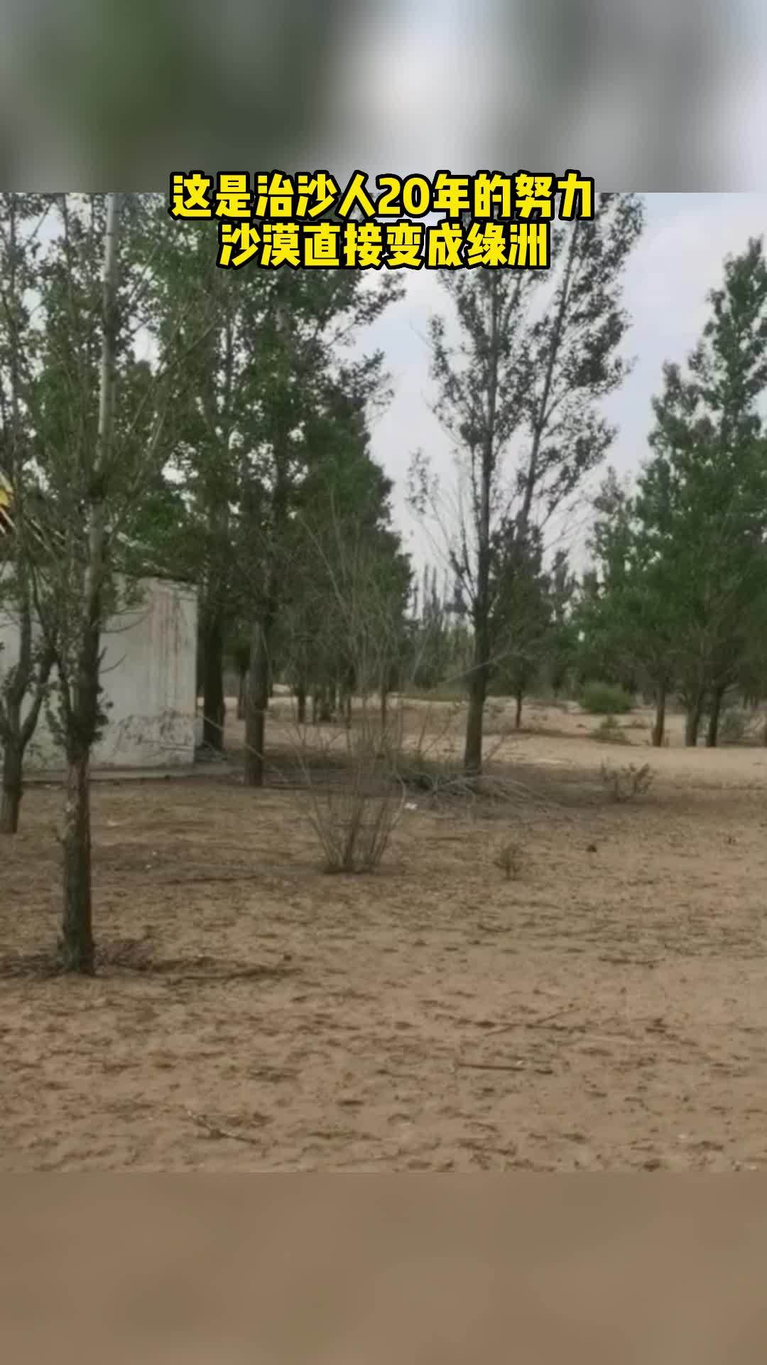 这是治沙人20年的努力,沙漠直接变成绿洲