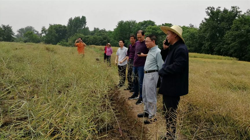 科技兴农,促进农业农村农民增产增收增效。