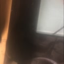 爱喝绿茶的公仪霞飞 