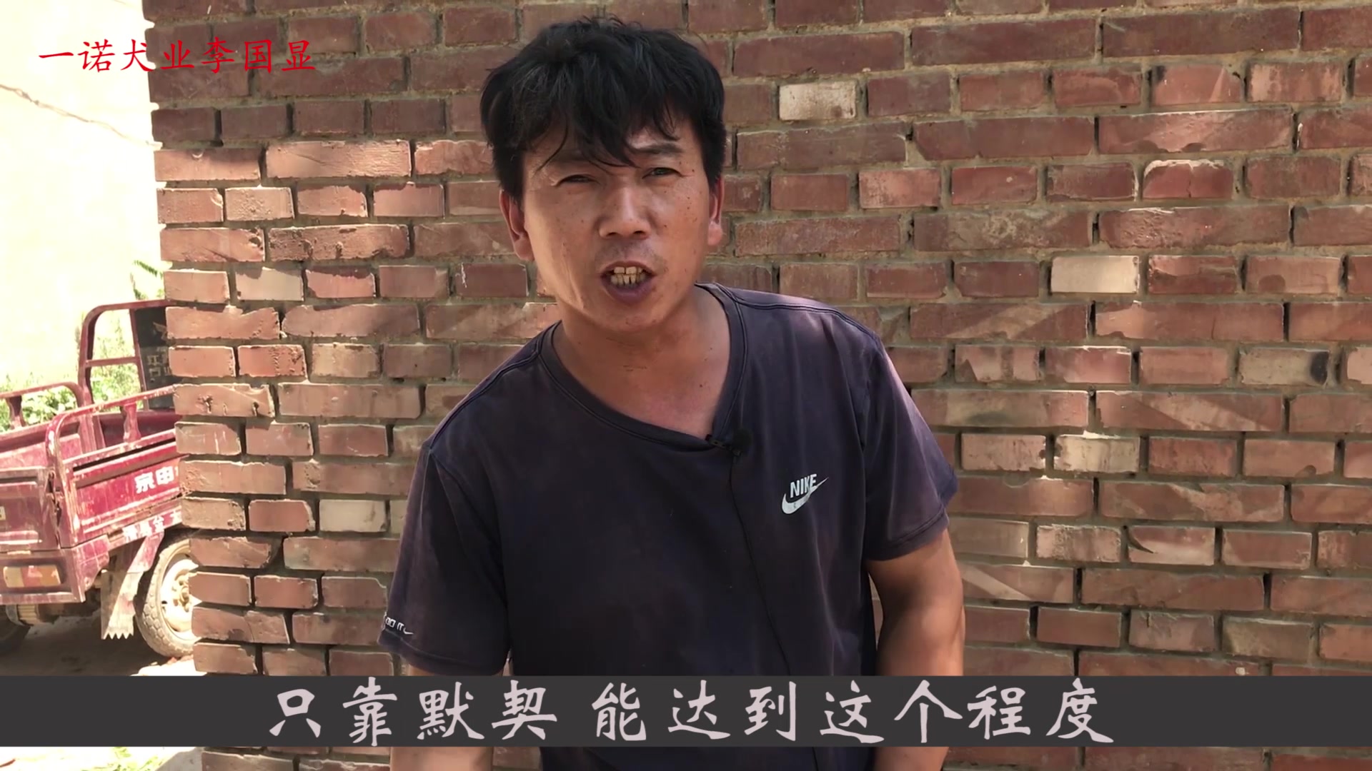 狗狗里智商排名第3的德国牧羊犬,训练后可达10岁人的智商,聪明