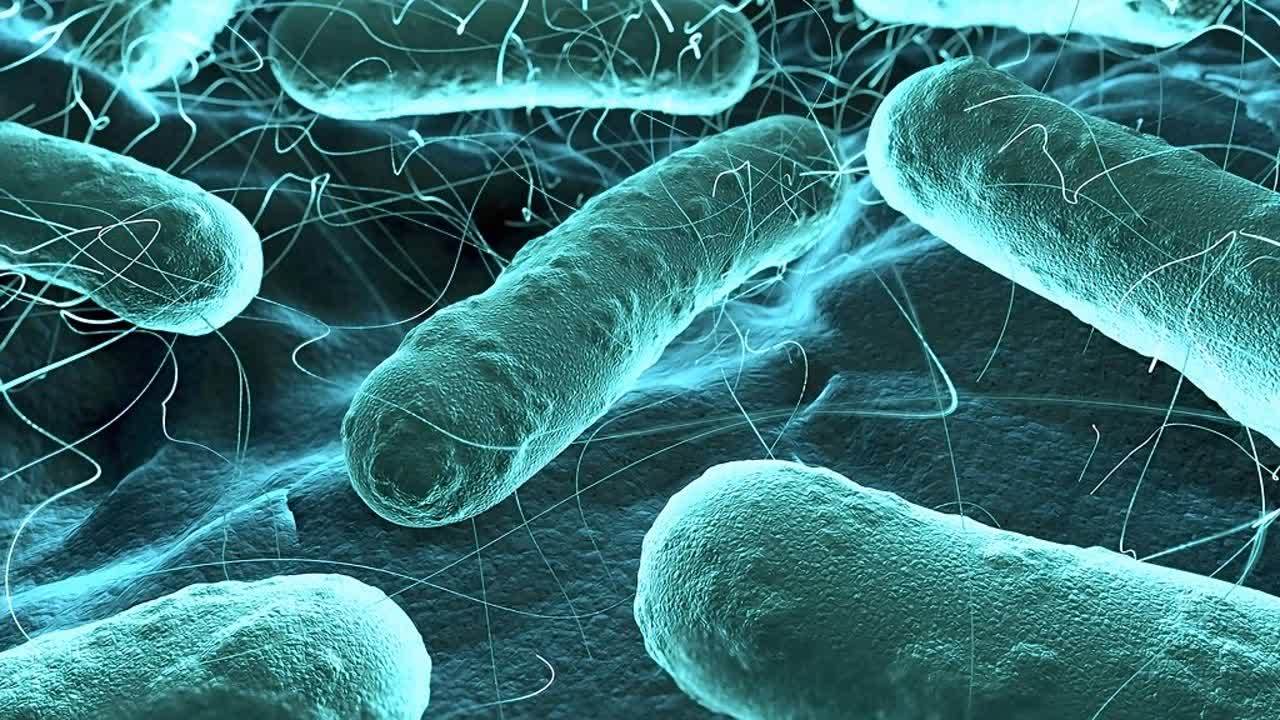 感染HIV后,日常生活中需注意什么?提醒:应遵循这几个原则