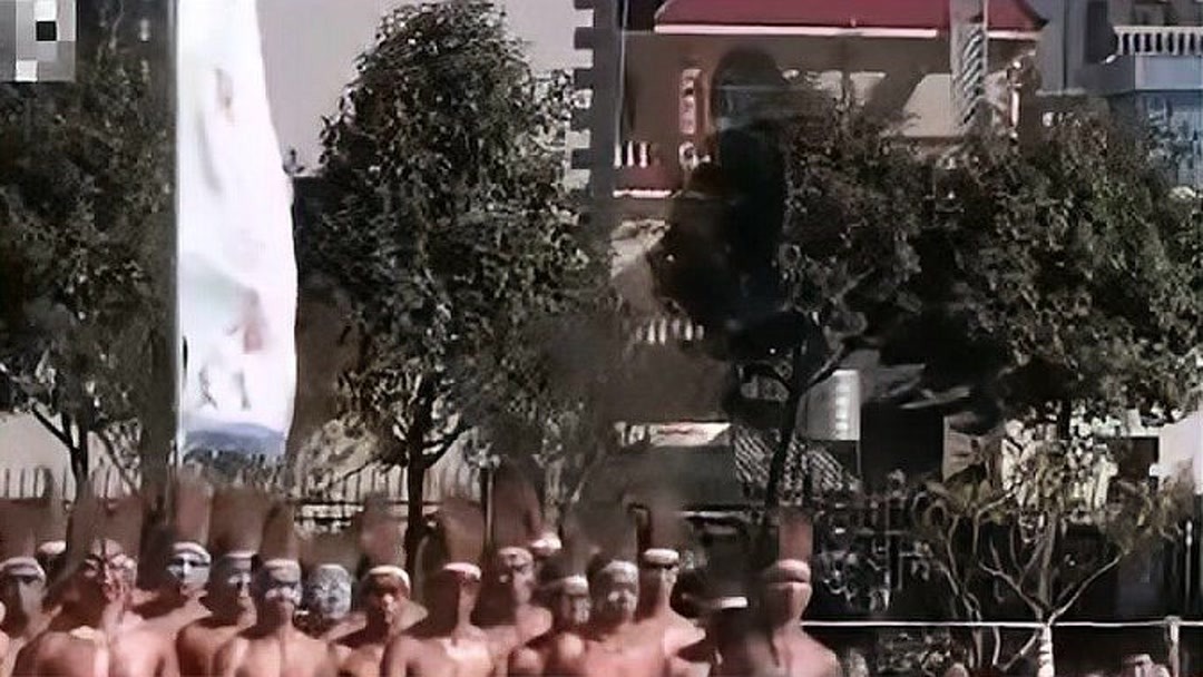 高中运动会硬核开幕式表演