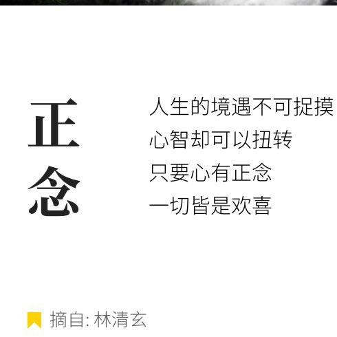 丁玉峰55688851 