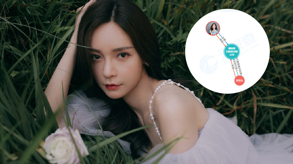 沈梦辰持股公司被强制执行 执行标的50030元