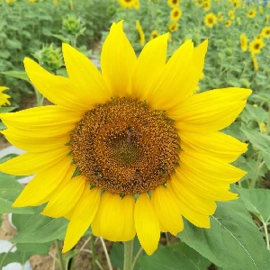经典启蒙 