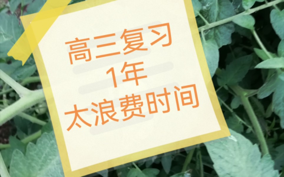 高三复习一年,有多大意义呢?