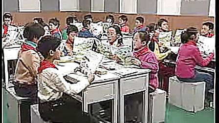 三年级《石头书》(小学语文优质课教学示范课堂实录)