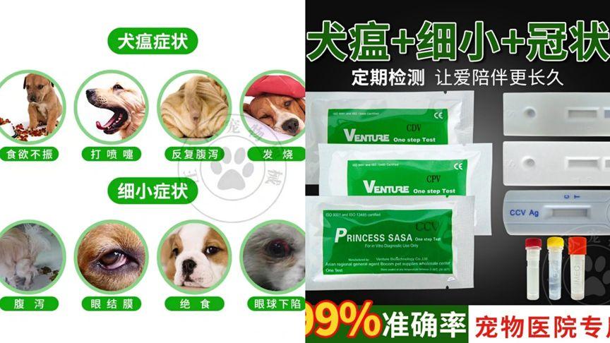 别再去医院花冤枉钱,二十块钱确诊狗狗有没有犬瘟细小!
