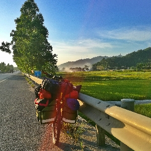 一只野生单车佬 