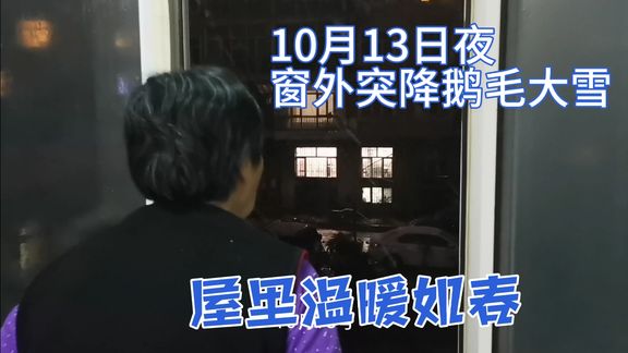 窗外突降鹅毛大雪,奶奶开窗感叹屋里温暖,儿子说明早要堆雪人