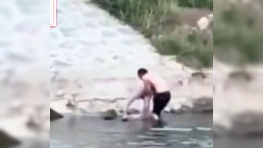 男子当着自己孩子的面,化身“盖世英雄”营救溺水儿童