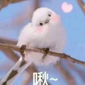 我在b站记录生活 