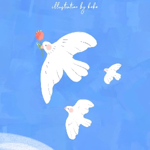 松树上的小嫩芽 