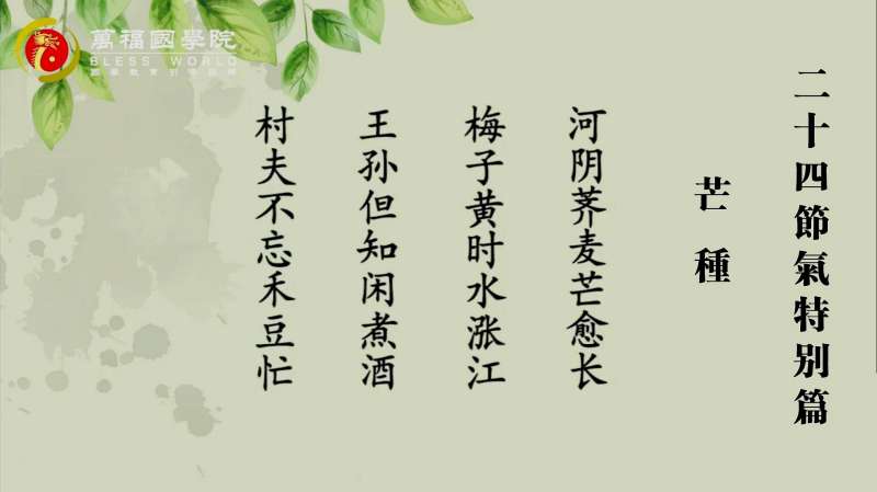 二十四节气特别篇“芒种”看完这个视频你就知道为什么叫“芒种”