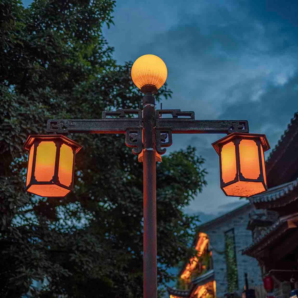 摄影小白WangZebin 