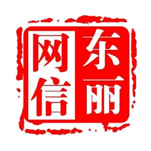 网信东丽 