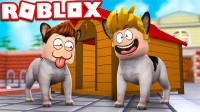 ...解说 Roblox 狗狗模拟器:我成了可爱宠物狗!地里全是骨头!乐高小游戏