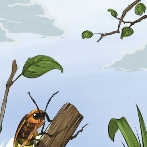 一只会飞的萤火虫 