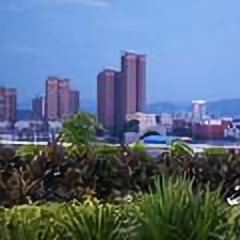 林邑福城 