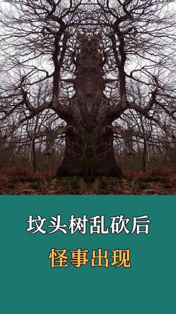 传承弘扬中国传统文化中华孝道百善孝为先有些树不能乱砍