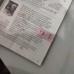 胖仙女教英语 