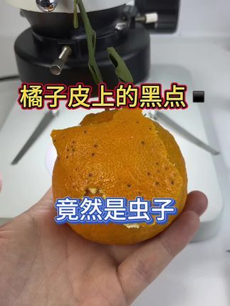 ...注意这些带斑点的ߧ�#显微镜下的世界 #科普 #科普一下 #实验室日常