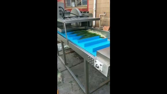 无刀化厨房大型切根机调频变速