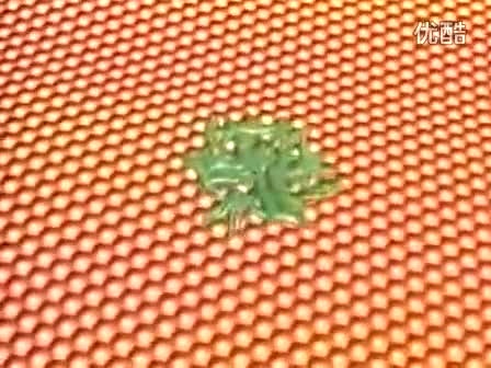 细胞膜的流动镶嵌模型