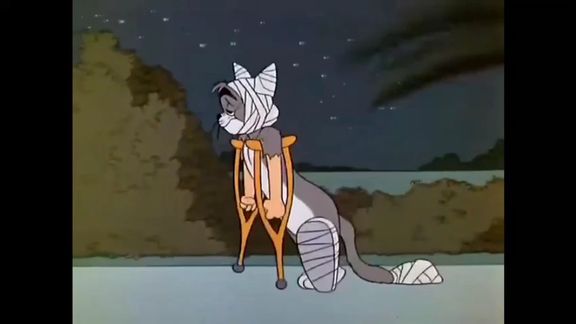 猫和老鼠:小小的狗狗战斗力好强啊,猫咪受伤了。